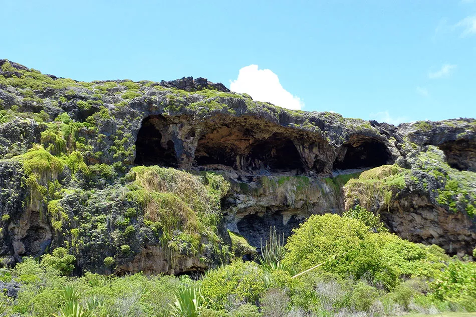 Information on Barbuda Island (near Antigua) Caribbean